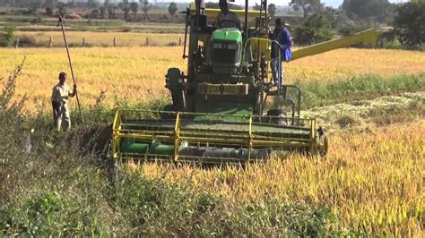 Paddy Rice Cutting Machine Crop Harvesting Youtube