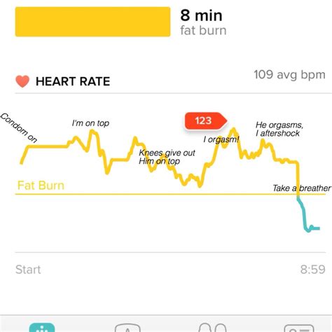 Fitbit During Sex FlowingData