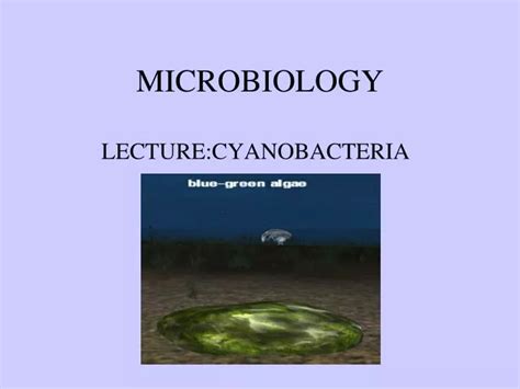 PPT MICROBIOLOGY PowerPoint Presentation Free Download ID 1986113