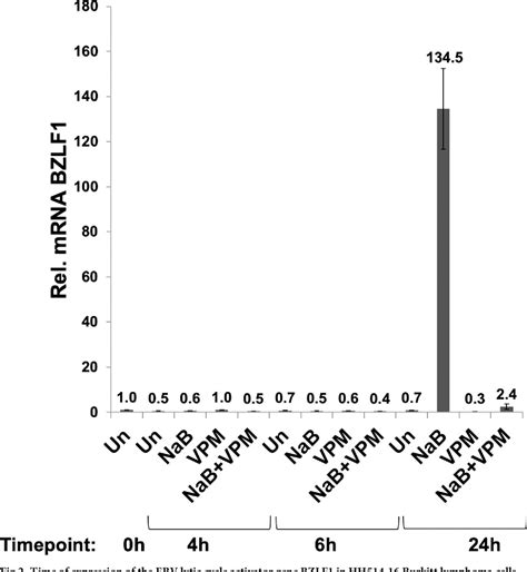Figure 2 From Transcriptome Analysis Of Burkitt Lymphoma Cells Treated