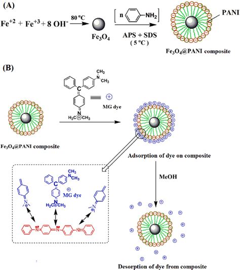 Schematic Representation Of A The Synthesis And Functionalization Of