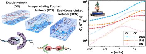 Influence Of Network Topology On The Viscoelastic Properties Of Double Dynamics Hydrogels