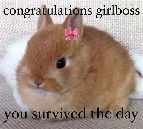 Congratulations Girlbosses We Survived Tha Day 🎀🪽💗🍬🫧🌸☁️💗💞