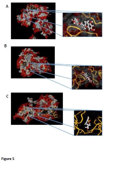 In Silico Docking With Cell Signaling Proteins Involved In The Download Scientific Diagram