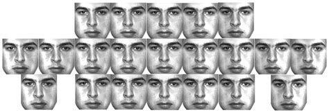 The Synthesized Views Under Varying Illuminations The 21 Illumination