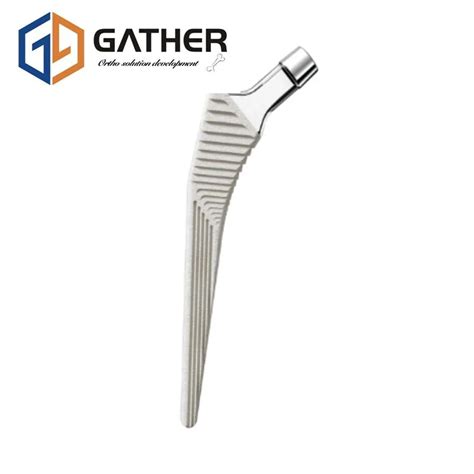 Hip Joint Femoral Stem Orthopedic Prosthesis Replacement China