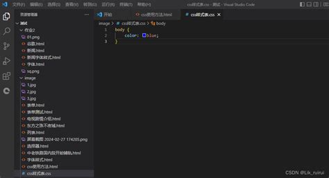 Css样式表 Csdn博客