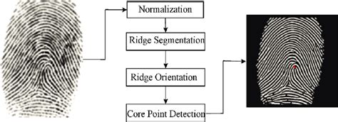 illustration of the preprocessing step download scientific diagram