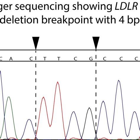 Phased X Sequencing Results From Subject In Kindred Showing The Download Scientific