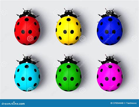 Colored Ladybugs Stock Illustration Illustration Of Lucky 37054448