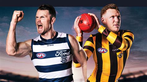 Analyzing Cats Vs Hawks Key Statistics And Winning Factors Unveiled Archyde