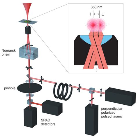 Dual Focus Fluorescence Correlation Spectroscopy 2ffcs Picoquant