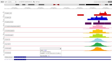 deeptools bam to bigwig 并使用igv可视化峰图差异 csdn博客