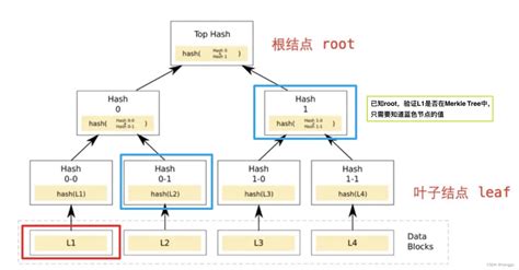 Solidity——默克尔树实现零成本空投基于merkle树验证did身份获取erc20代币空投 Csdn博客