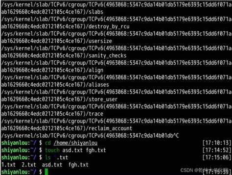 2022 2023 1 20222801《linux内核原理与分析》第一周作业余酋龙 Csdn博客
