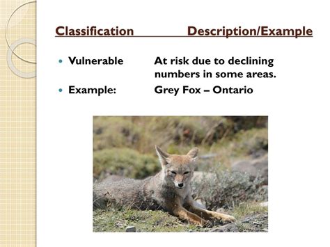 Ppt Science 421 Powerpoint Presentation Free Download Id2793496