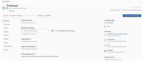 整合式目錄 中 azure synapse 的數據品質 microsoft learn