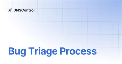 Bug Triage Process DNSControl