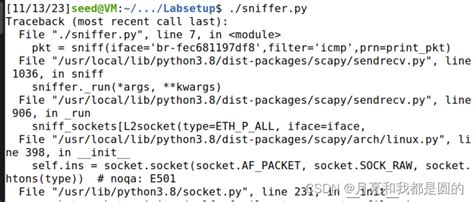 网络攻防 嗅探与欺骗sniff And Spoof Python代码改变原地址 Csdn博客