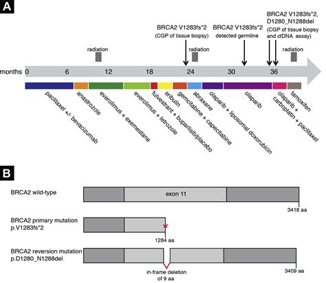 Brca2 Reversion Mutation Associated With Acquired Resistance To