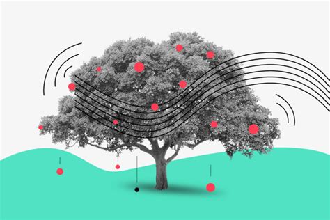 Tree Shaking In The Javascript Ecosystem By Abbas Roholamin Aug
