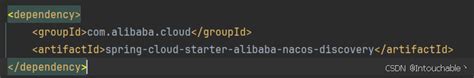Unresolved Dependency ‘comalibabacloudspring Cloud Starter Alibaba Nacos Discoveryjar