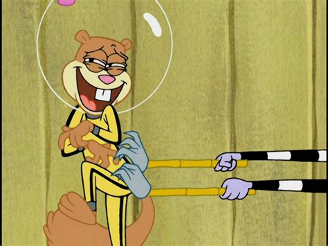 Sandy Cheeks Karate Island