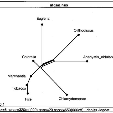 The Splits Graph Obtained From The Rna Sequences Indicated In Figure 3