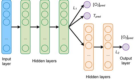 Architecture Of The Feed Forward Mtl Network B Download Scientific