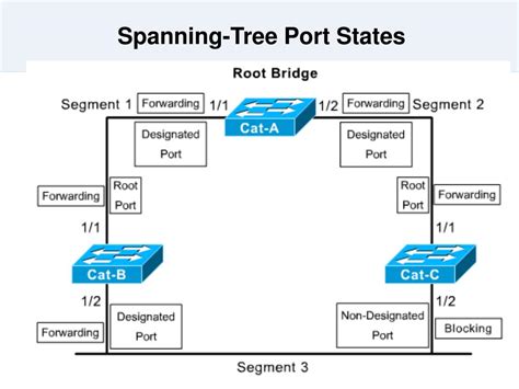 PPT Spanning Tree Protocol PowerPoint Presentation Free Download ID