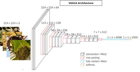 Visualization Of Vgg16 Architecture Download Scientific Diagram