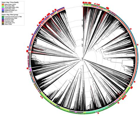 Phylogenetic Tree Of Identified Viral Genomes The Inner Ring