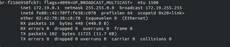 Data Transfer Between Docker Container And Host
