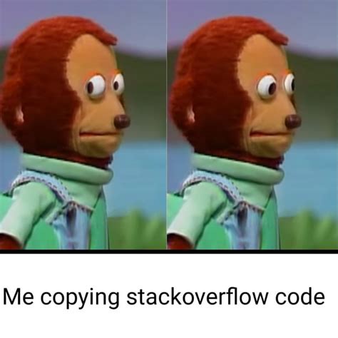 Asking On Stackoverflow Rprogrammerhumor