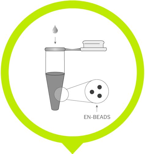 Low Abundance Proteins Biomarker Discovery Preomics