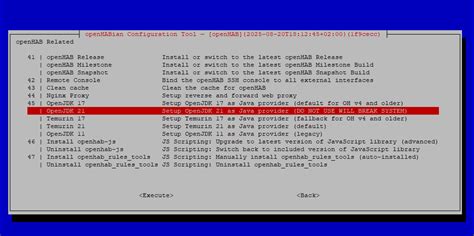 Migrate Openhabian From Raspberry Pi 3 To A Raspberry Pi 5 Migration Openhab Community