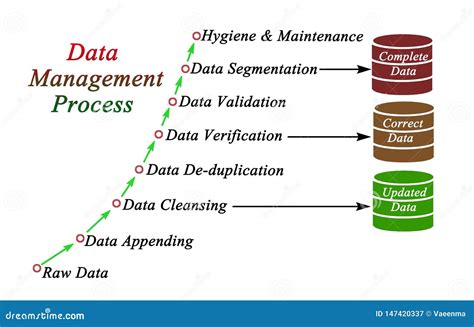 Components Of Data Management Process Stock Image Image Of Management Deduplication 147420337