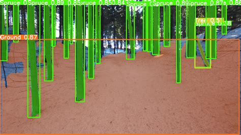 Using Depth Enhanced Segmentation In Forestry A Practical Approach To Cost Saving Preservation