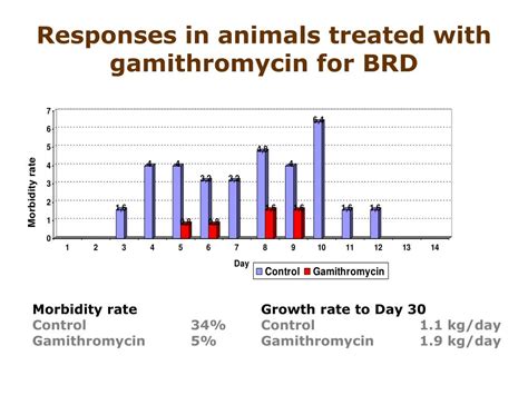Ppt Gamithromycin Powerpoint Presentation Free Download Id3263754