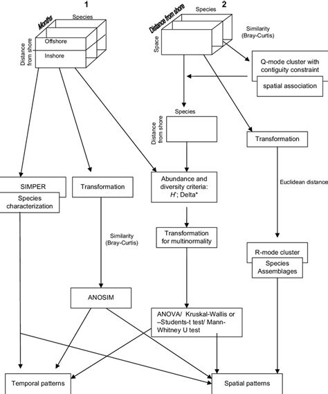 Summary Of The Statistical Analysis Used In The Inshore Offshore Download Scientific Diagram