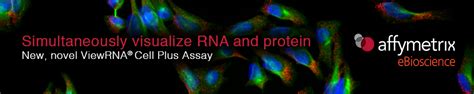 Simultaneous Single Cell Visualization Of RNA And Protein