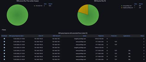 Auditing Specific Domains Via Dns Profitap Knowledge Base