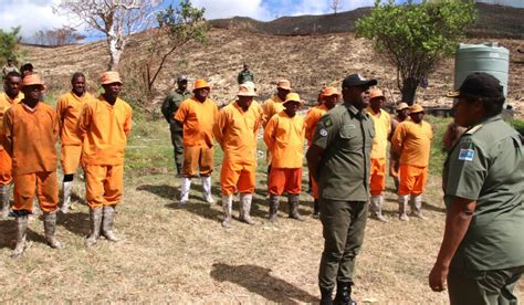 Cane Cutting A Brilliant Idea Farm Owner Nima Fiji Corrections Service