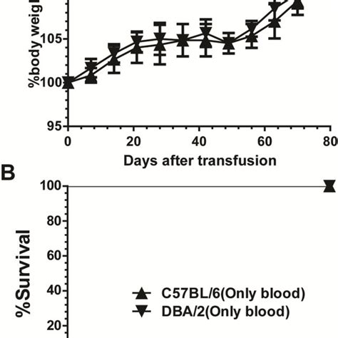 Treatment Of Ta Gvhd In The Mouse Model Abalbc Mice Were Injected