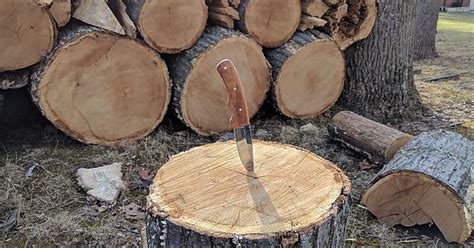 Making A Knife Handle Out Of Firewood Album On Imgur