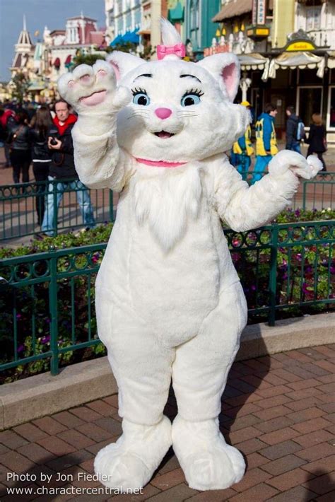 Marie The Cat Costume Marie Costume Disney Marie Cat Disney Disney
