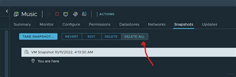 Esxi Converts Thick Provisioning Disk Back To Thin Provision And