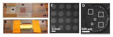 Multimodal Analytical Platform On A Multiplexed Surface Plasmon Resonance Imaging Chip For The