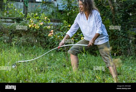 Grass Scythe Cutting Demonstration