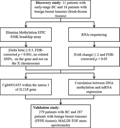 Full Article Il21r Hypomethylation As A Biomarker For Distinguishing Benign And Malignant